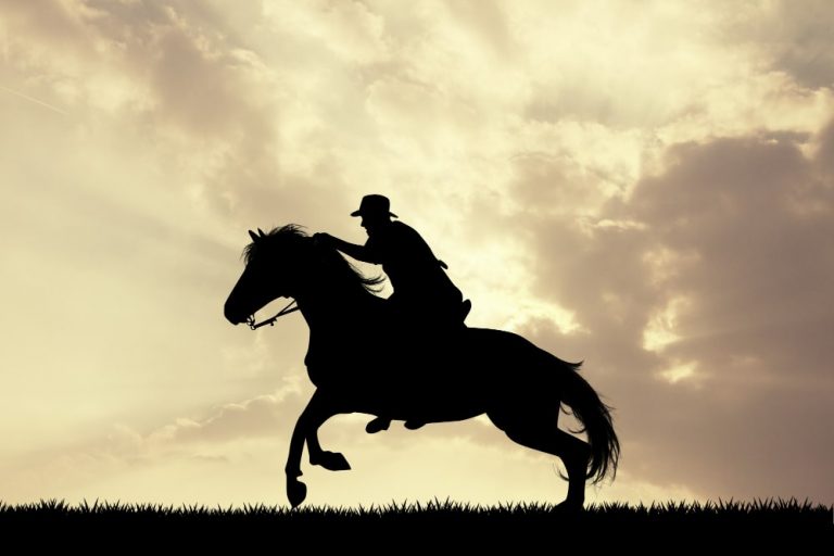 Horse Vs. Moose : Weight, Height And Speed Comparison