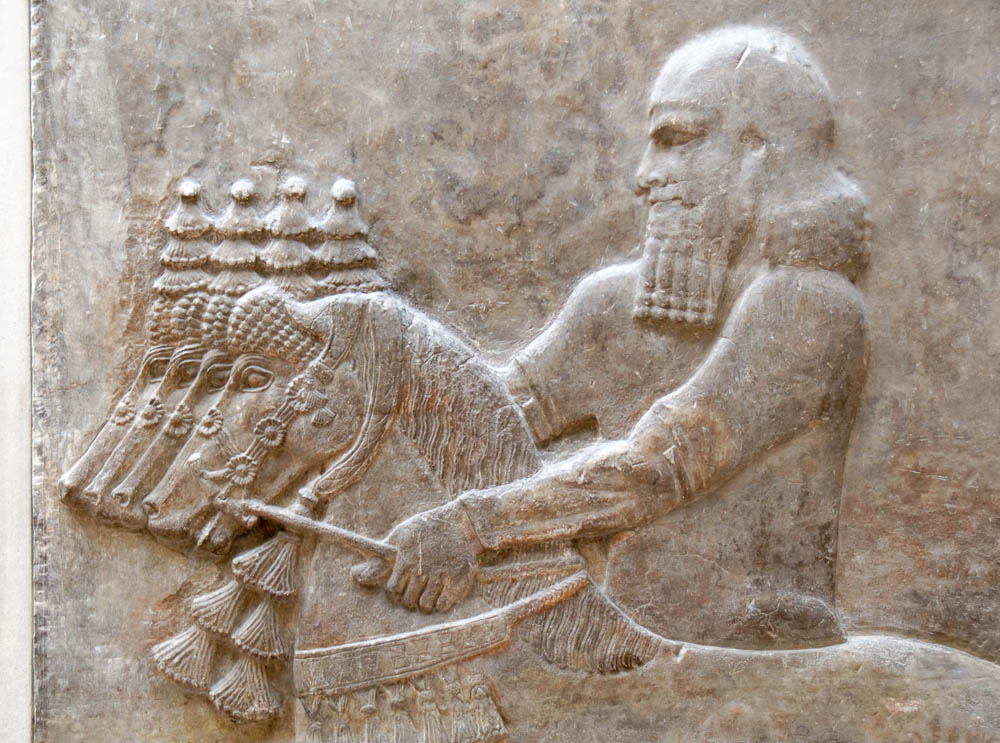 What Does It Mean To Hamstring A Horse?