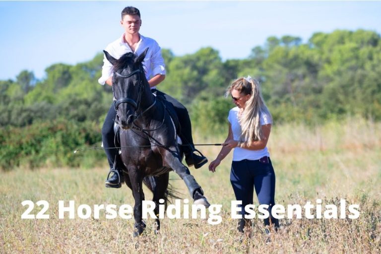 Horse Riding Essentials : 22 Gadgets Every Rider Needs