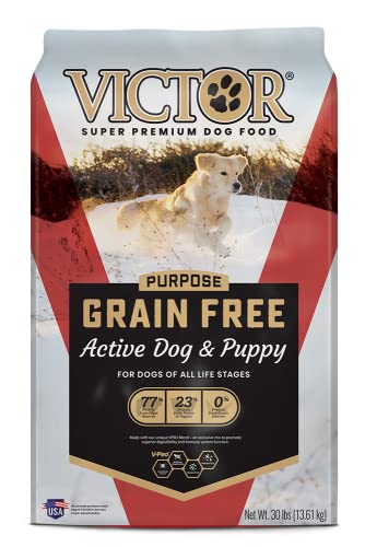 The 10 Best Dog Food For Active Dogs In 2023 - Top Picks & Recommended