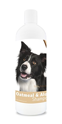 10 Best Dog Foods For Border Collies In 2023 - Top Picks & Recommended
