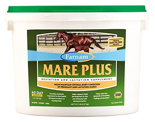 The 10 Best Supplements For Pregnant Mares In 2023 - Top Picks ...